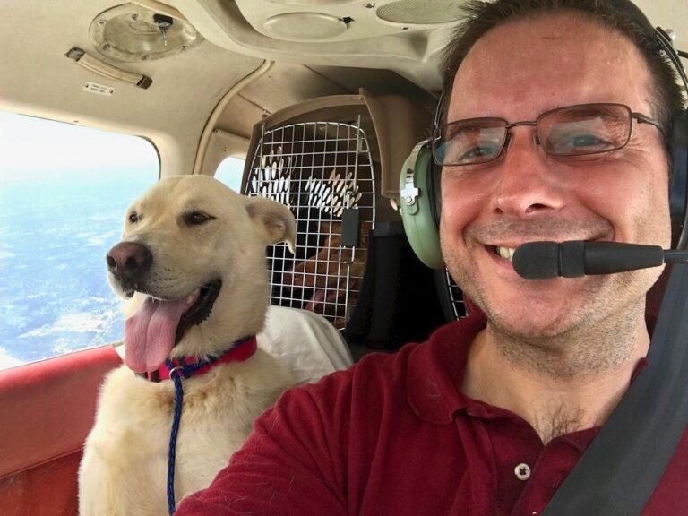 Flying Fur Animal Rescue | Animal Rescue Transport